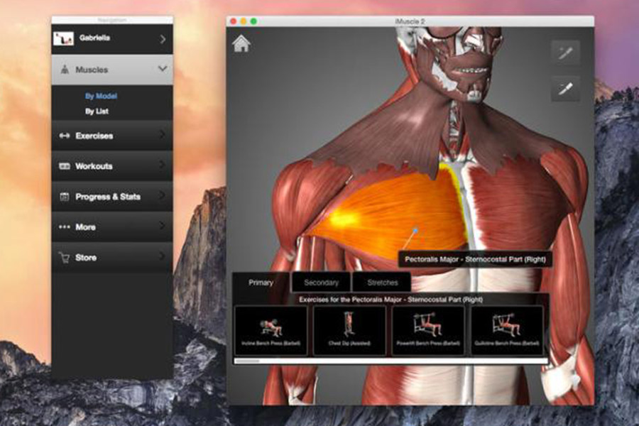 Free Download Complete Anatomy MacOS – 3D software simulating human anatomy